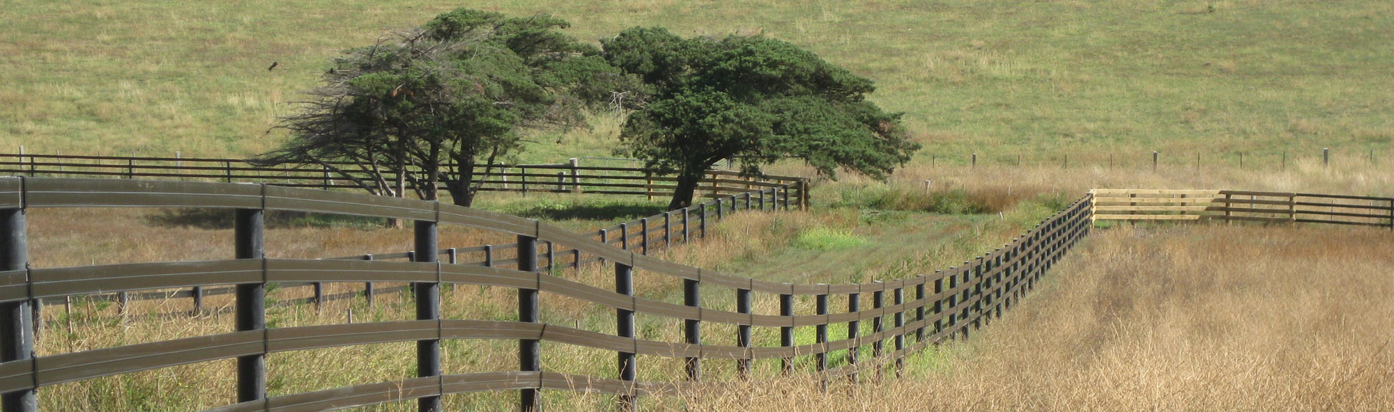 Official Website of Horserail, Hottop and Coated Wire - Safe Horse Fencing