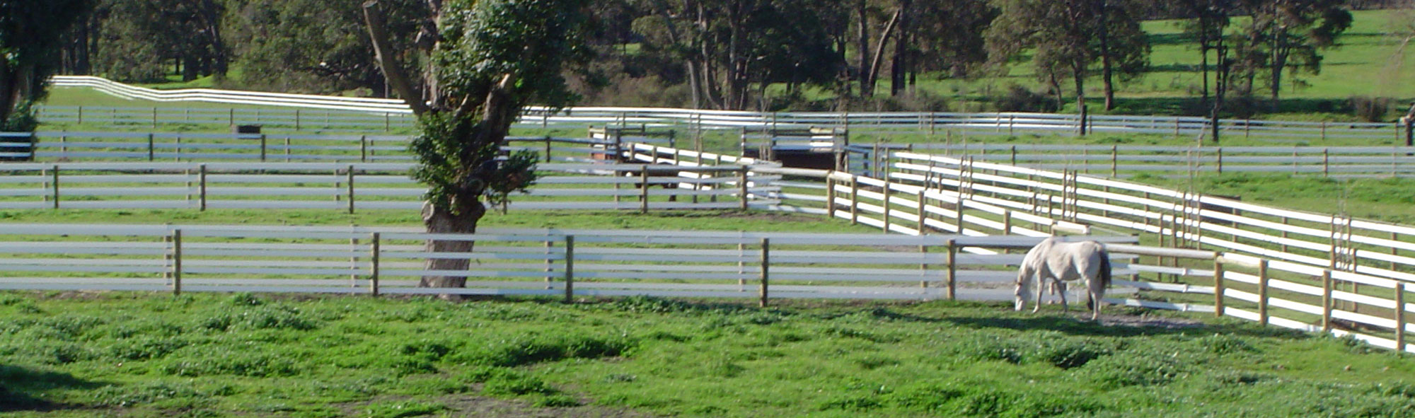 Official Website of Horserail, Hottop and Coated Wire - Safe Horse Fencing