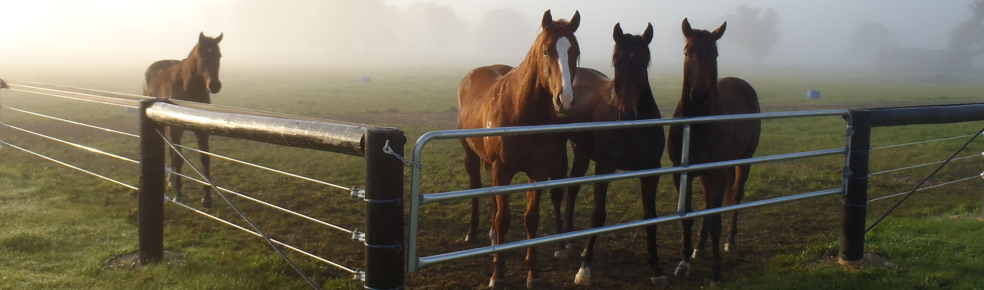 Official Website of Horserail, Hottop and Coated Wire - Safe Horse Fencing